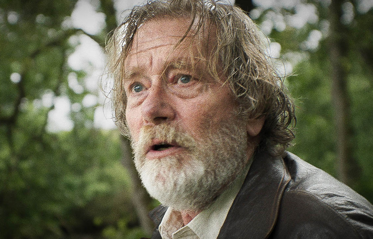 ”Tordyveln flyger i skymningen” är mystisk och mysig – så bra är nya ...